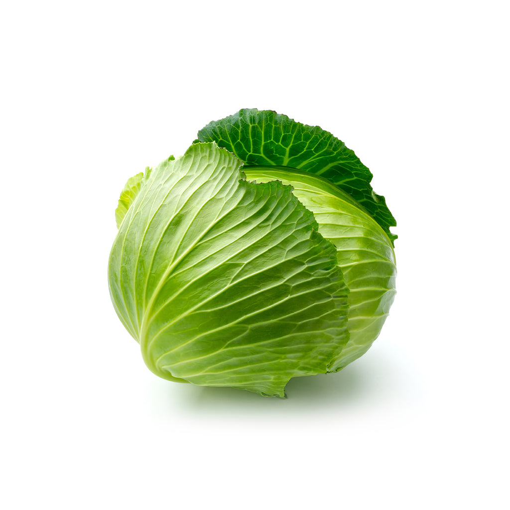 Cabbage Green – Grande Produce