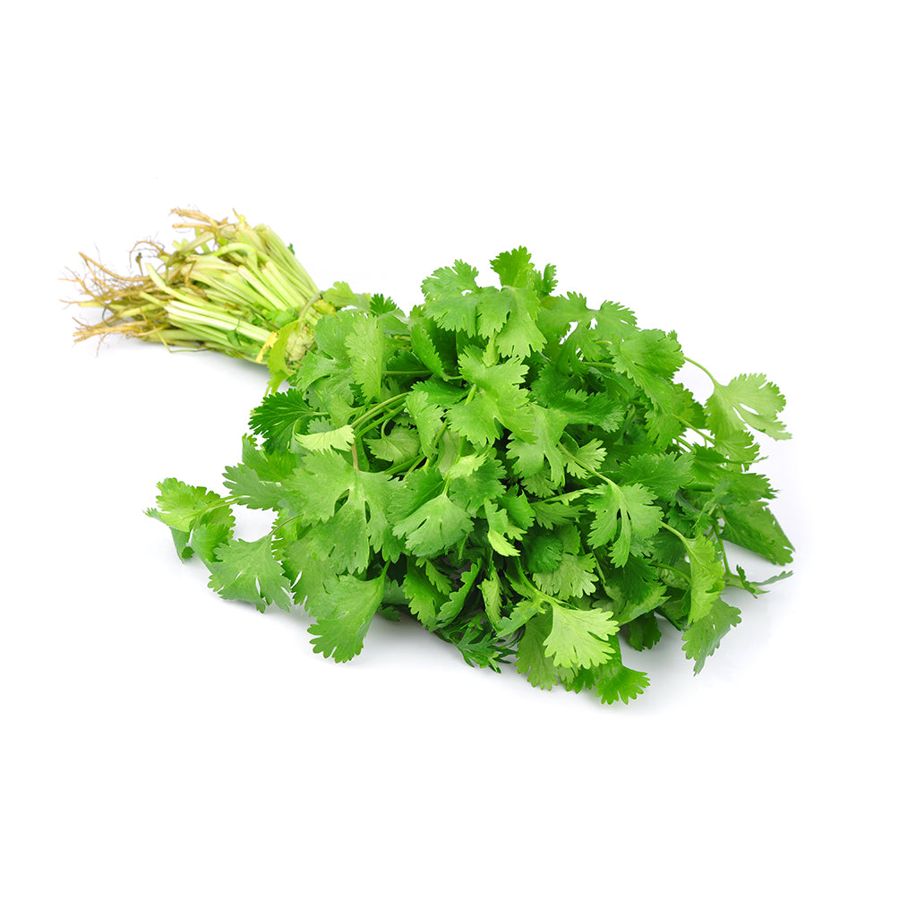 Fresh Cilantro – Grande Produce
